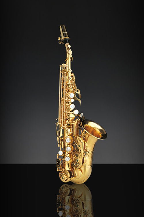 Rampone & Cazzani R1 Jazz Curved Soprano Saxophone - Gold Plated – SAX